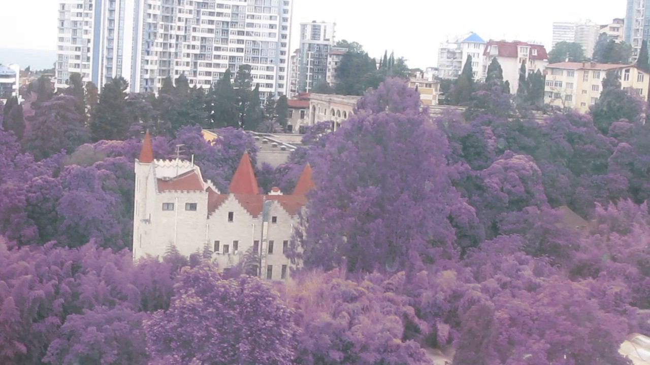 Сочинский дендрарий. Канатная дорога.