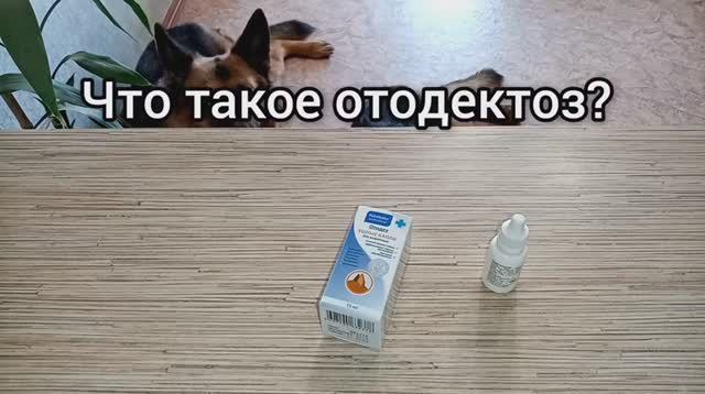 Отодектоз (ушной клещ) у собаки. Лечение. Отзыв на капли Отидез