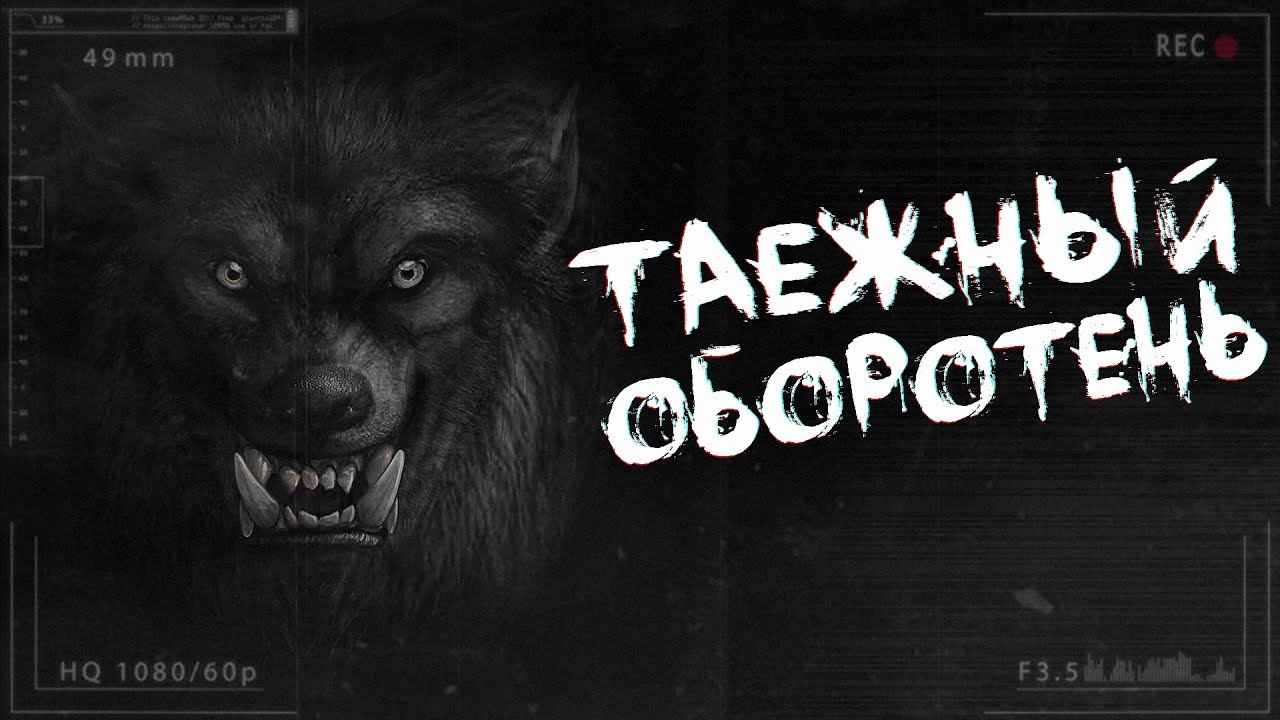 " КОНЕЦ ТАЕЖНОГО ОБОРОТНЯ -"  Быль.