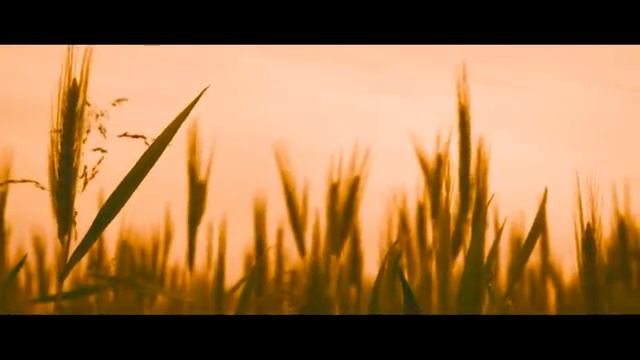 А.Худов -Подмога(cover-ХЗ)