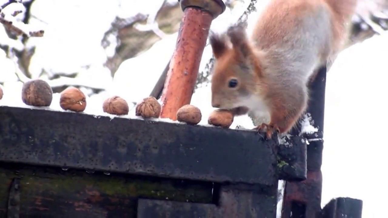 Люди, будьте добрее! Им нужна наша помощь...