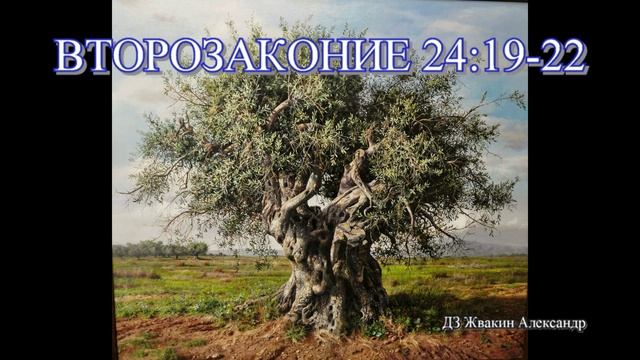 Библия Ветхий Завет Второзаконие  24:19-22  Александр Жвакин