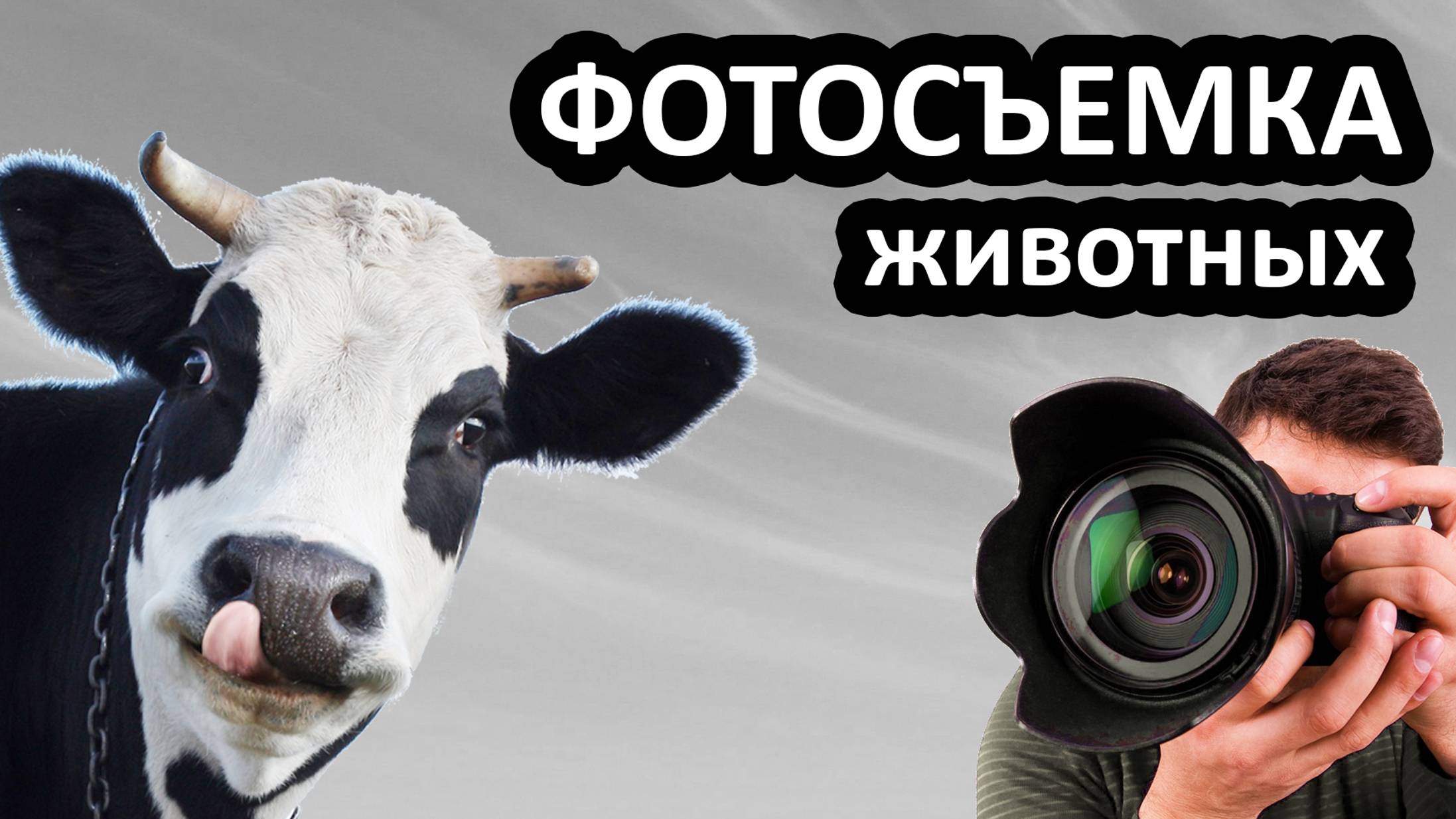Необычная фотосессия для фермы