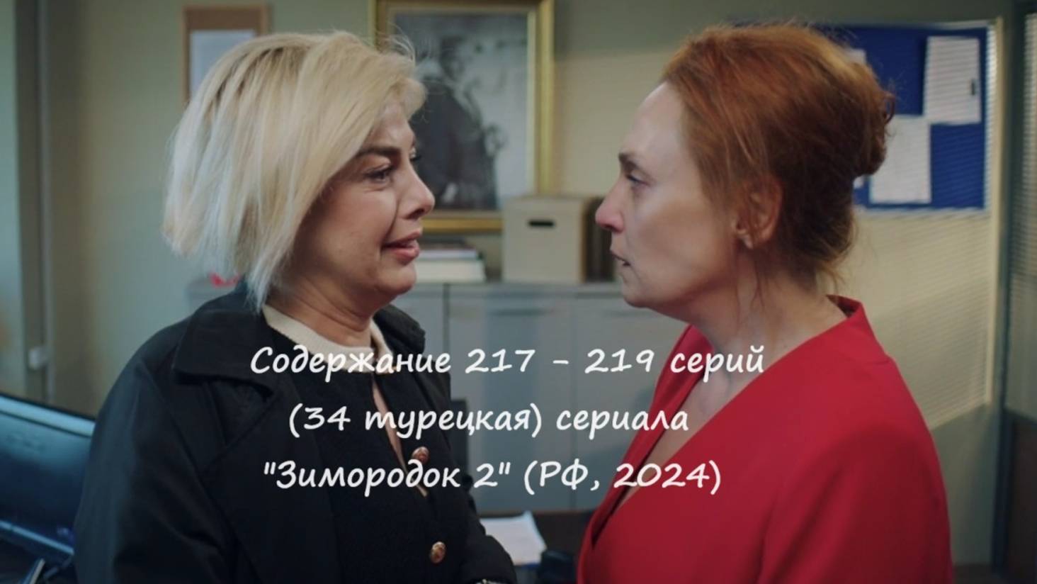 Содержание 217 - 219 серий (34 турецкая) второго сезона сериала "Зимородок" (РФ, 2023 / 2024)