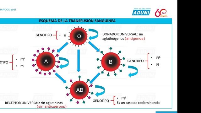 San Marcos Anual 2021 | Semana 12 Biología