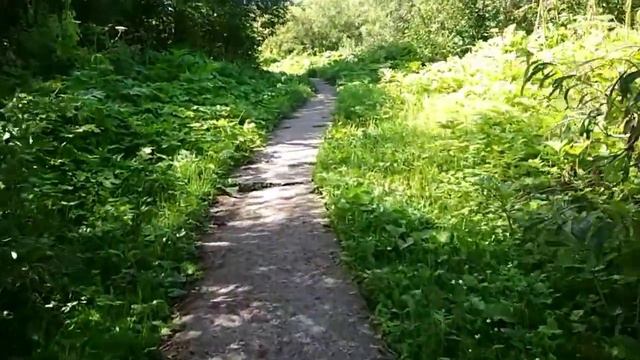 Дорожка через мостик