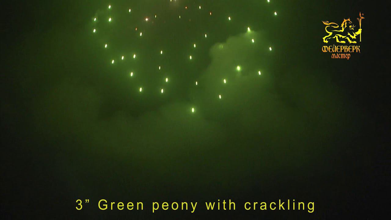 3" Green peony with crackling