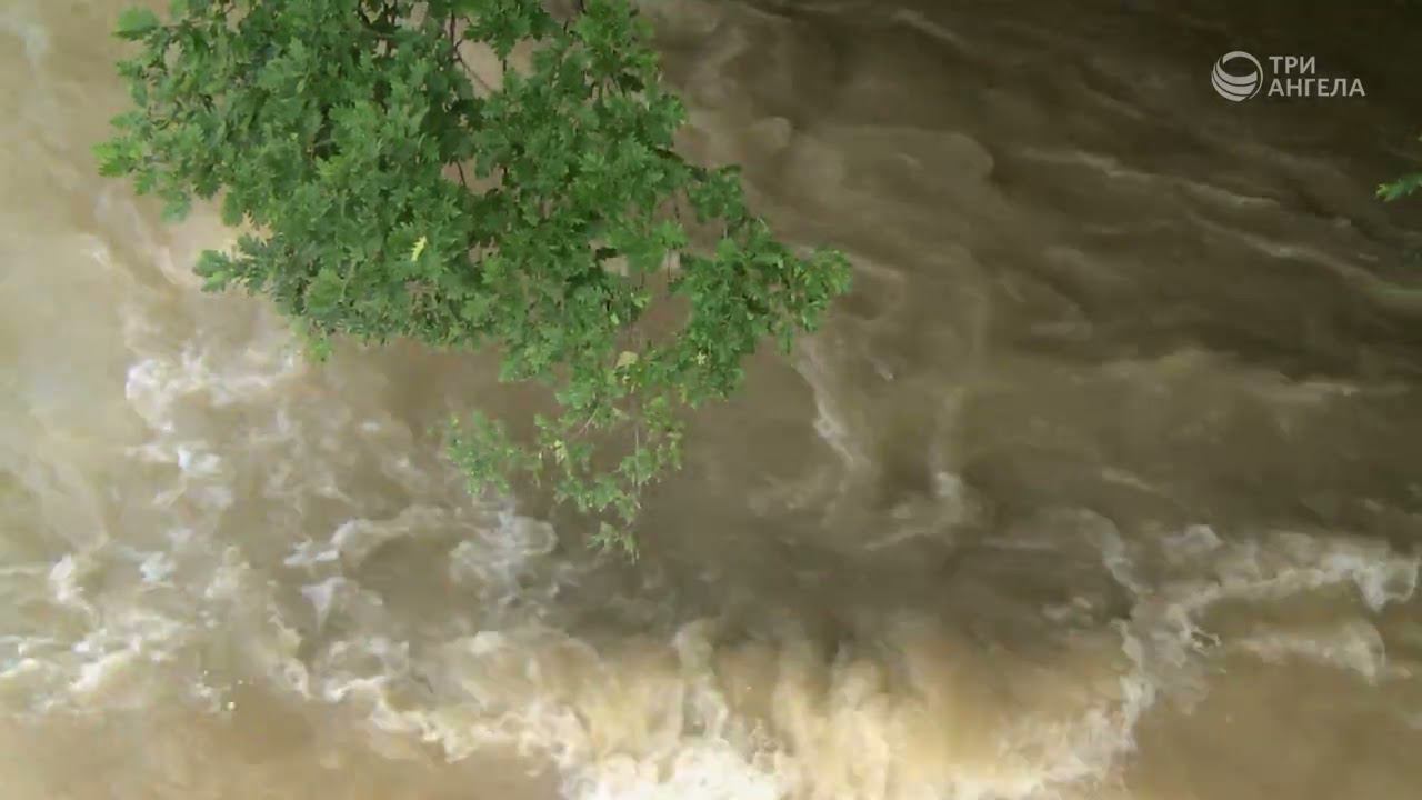 Конец весны | С любовью к русской природе