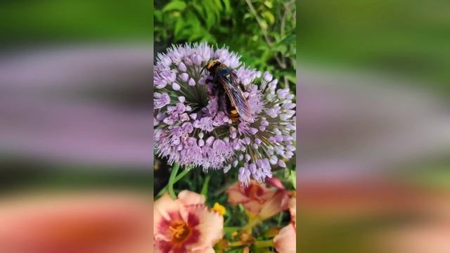 Иии- хто ето?