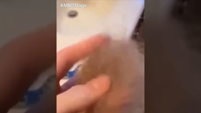 Кандидат в президенты🇺🇸😂