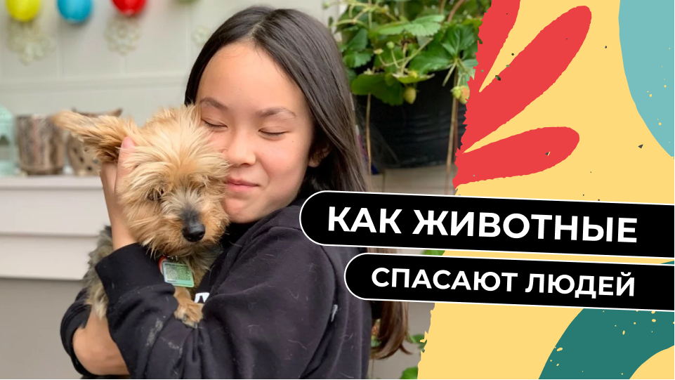 Как животные спасают людей