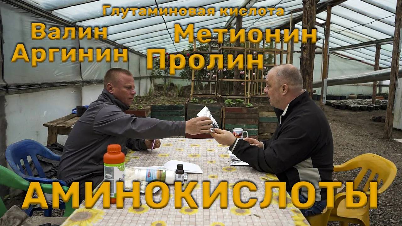 Аминокислоты для выращивания самой большой тыквы🎃