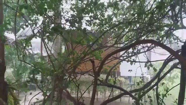 Сезон дождей на Пангане в Таиланде