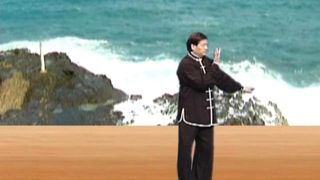 Понимание тайцзицюань стиля У