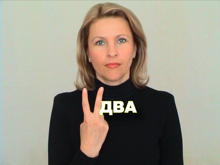 ЖЕСТОВЫЙ ЯЗЫК. СЛОВАРЬ. Два