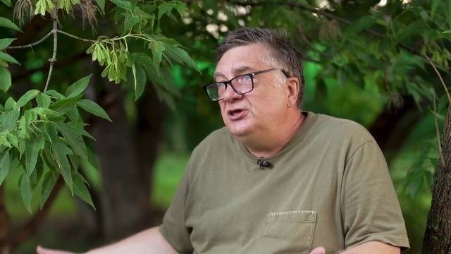 Самое вредное дерево?