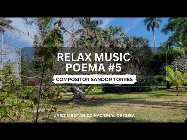 Poema #5 - Sandor Torres