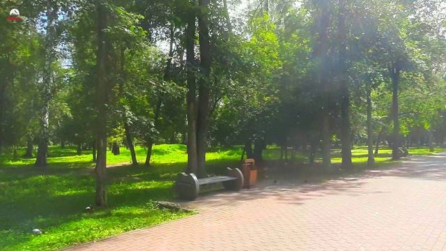Парк Берёзовая Роща. Новосибирск. 13.08.24.