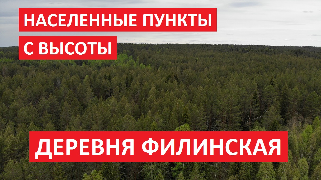 Населенные пункты с высоты: Деревня Филлинская, Архангельская область [Full HD]
Видео квадрокоптера