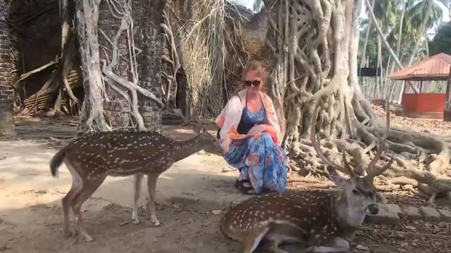 Индия 2017-03 От Селькова