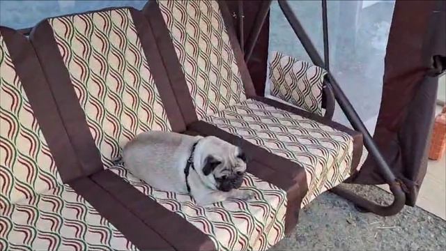 Оливье, на качелях то вверх то вниз :)