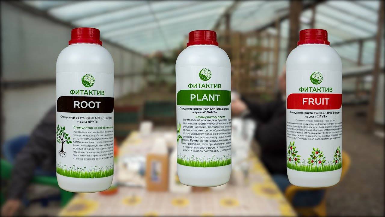 Фитактивы: Рут, Фрут, Плант для выращивания самой большой тыквы🎃