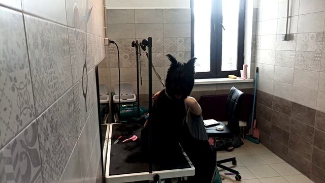 VID_20220514_110507.3gp