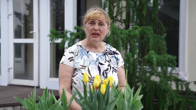 Что делать с тюльпанами, после того как они отцвели