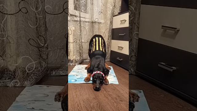 Зарядка, кто с нами?😀