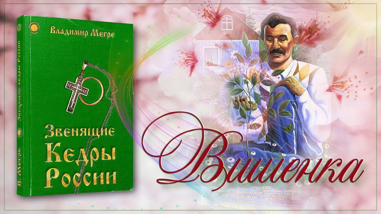 Книга II, глава 6 «ВИШЕНКА»