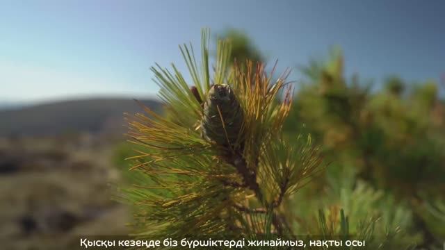 Взгляд в будущее