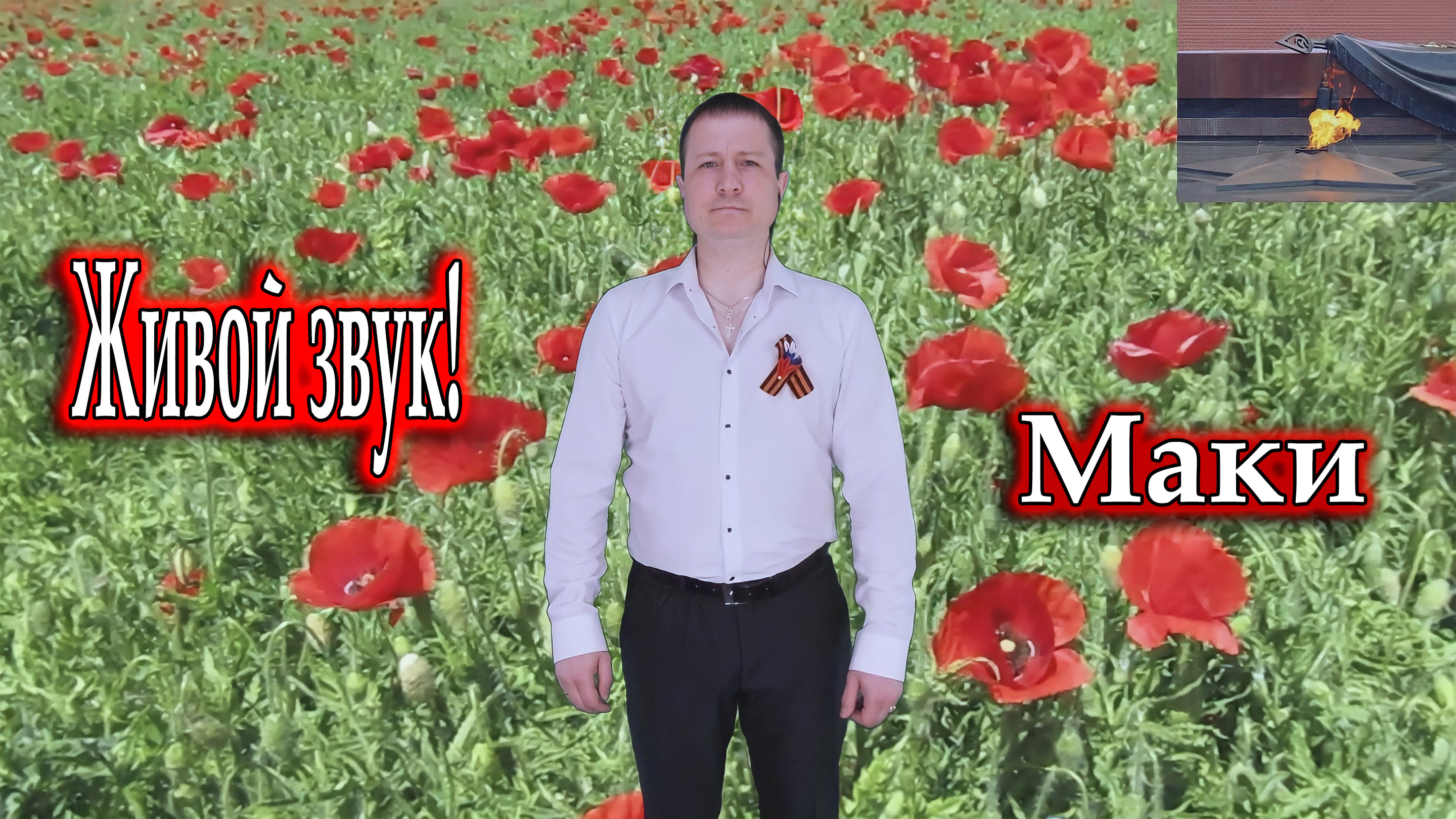 Юрий Антонов - Маки (cover version)