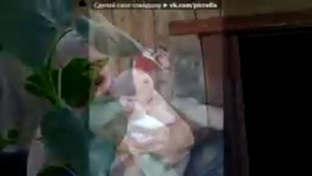 _Malyshi_ from family with some musick.mp4
