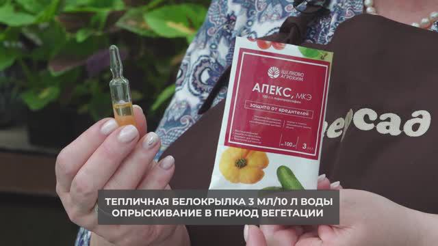 Как победить вредителей в теплице?