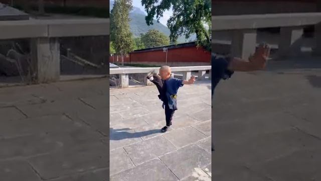 Малыш каратист