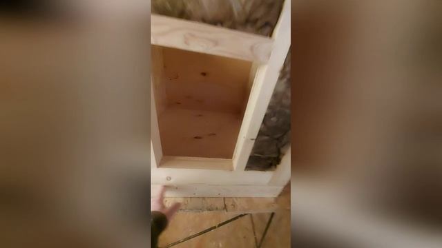 Будка для собаки