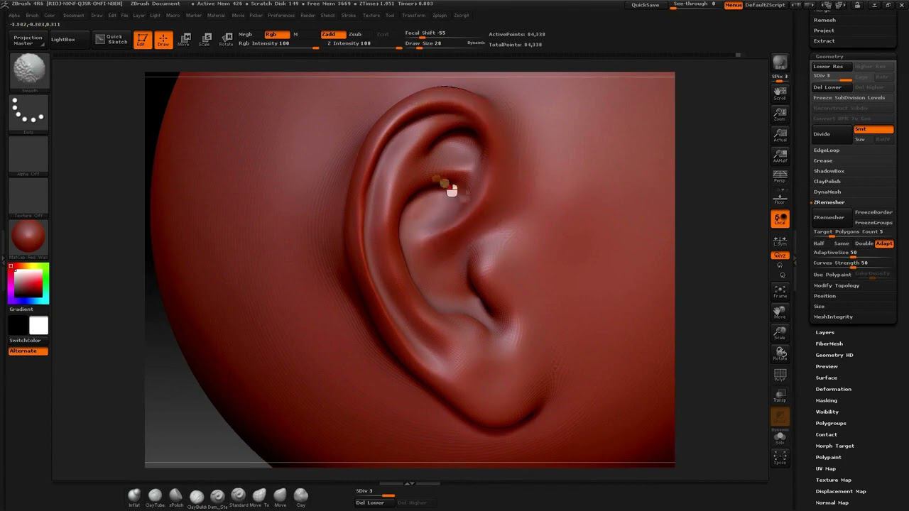 Anat Vol 02 03  Ear Part 2 2