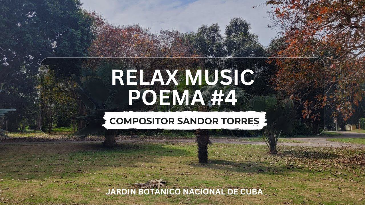Poema #4 - Sandor Torres