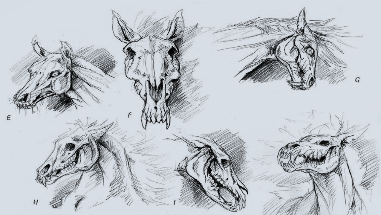 КТО ГЛАВНЫЙ в зоопарке.