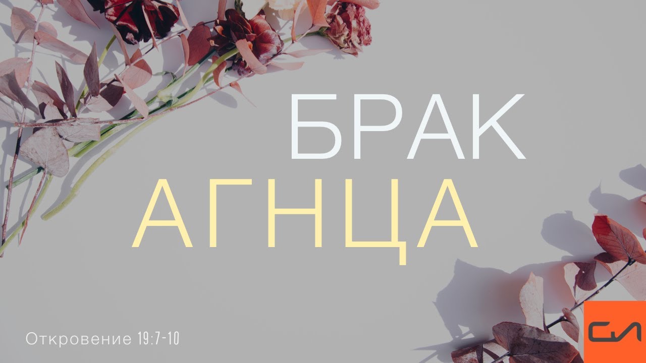 Откровение 19:7-10. Брак Агнца | Андрей Вовк | Слово Истины