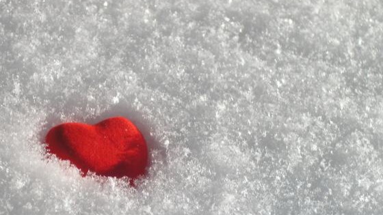 Жизнь и безсмертие одной из нас