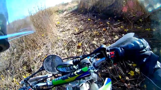 Коротенький прохват на Avantis FX 250