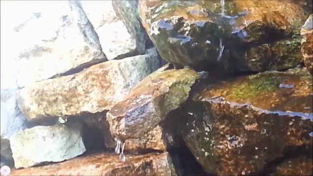 Деревенский прудик