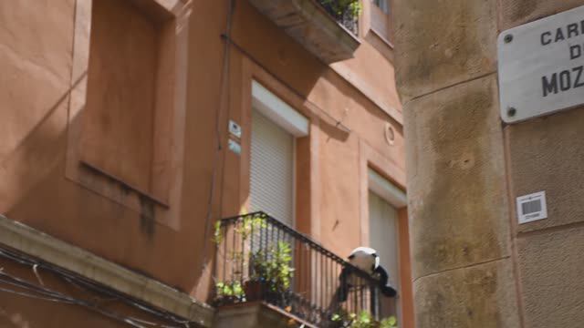 Барселона. Район Грасия