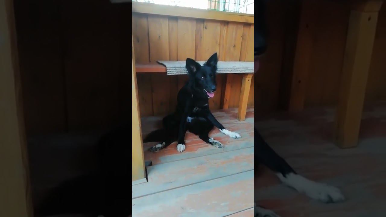 Моя красотка😍