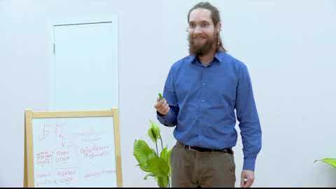 Трансформация Сознания. Живое Питание | Мифы О Вегетарианстве