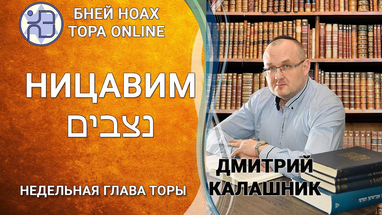 Недельная глава НИЦАВИМ (נִצָּבִים) || Дмитрий Калашник ||  5782