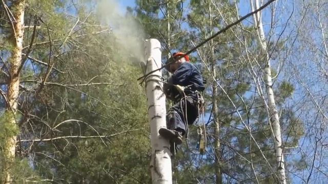 Все видео_На погосте в д Яромаска.mp4