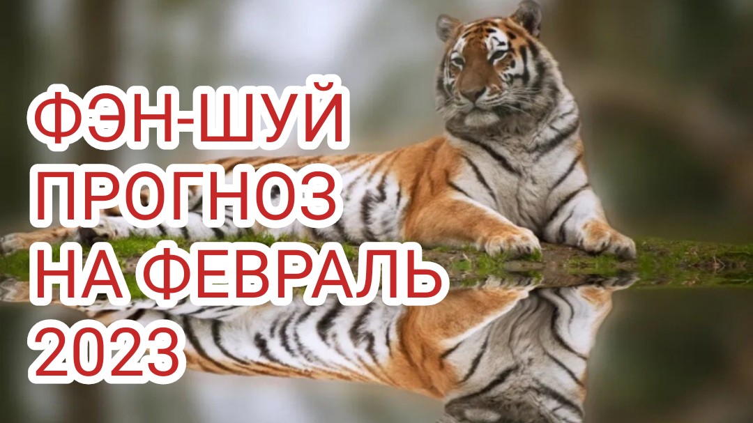 Фэн-шуй прогноз на февраль 2023 || Месяц Деревянного Тигра#2