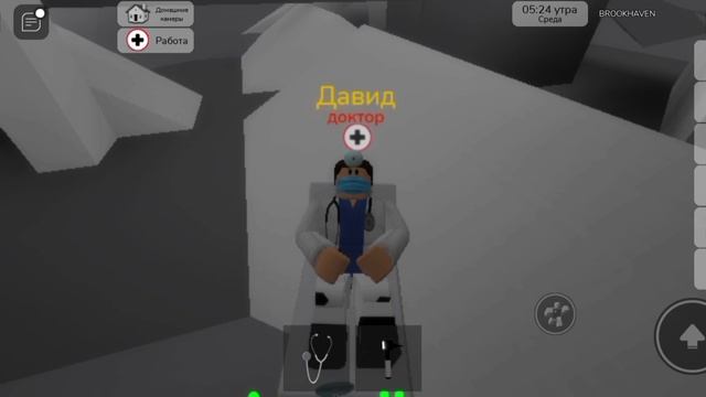 Опасная рыбалка - Доктора в Brookhaven | Сериалы для детей